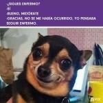 Rabón – Mantenlo Simple – Consciencia, sencillez y autoconocimiento