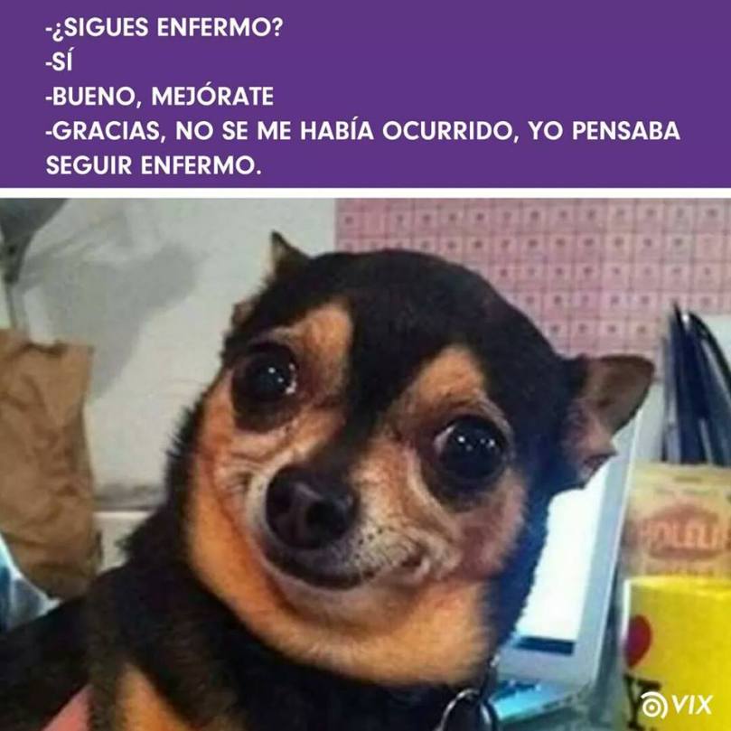 Rabón – Mantenlo Simple – Consciencia, sencillez y autoconocimiento