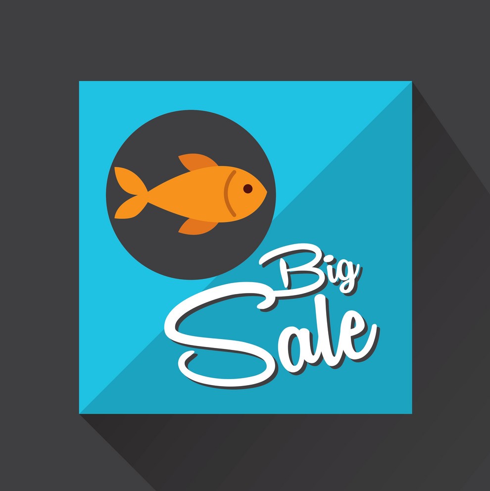 La Regla del Pescado Fresco – Mantenlo Simple – Consciencia, sencillez ...